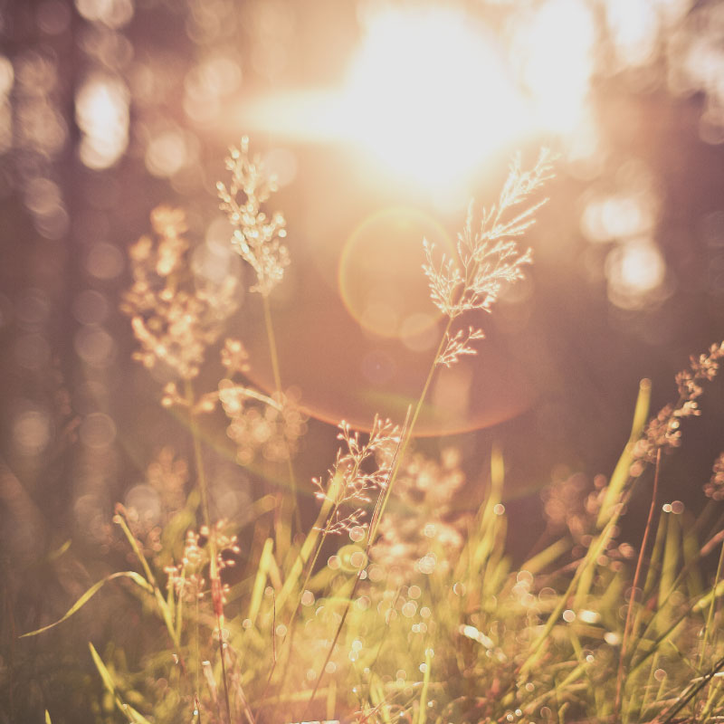 Solutions｜EVERVISION｜TFT LCD Display